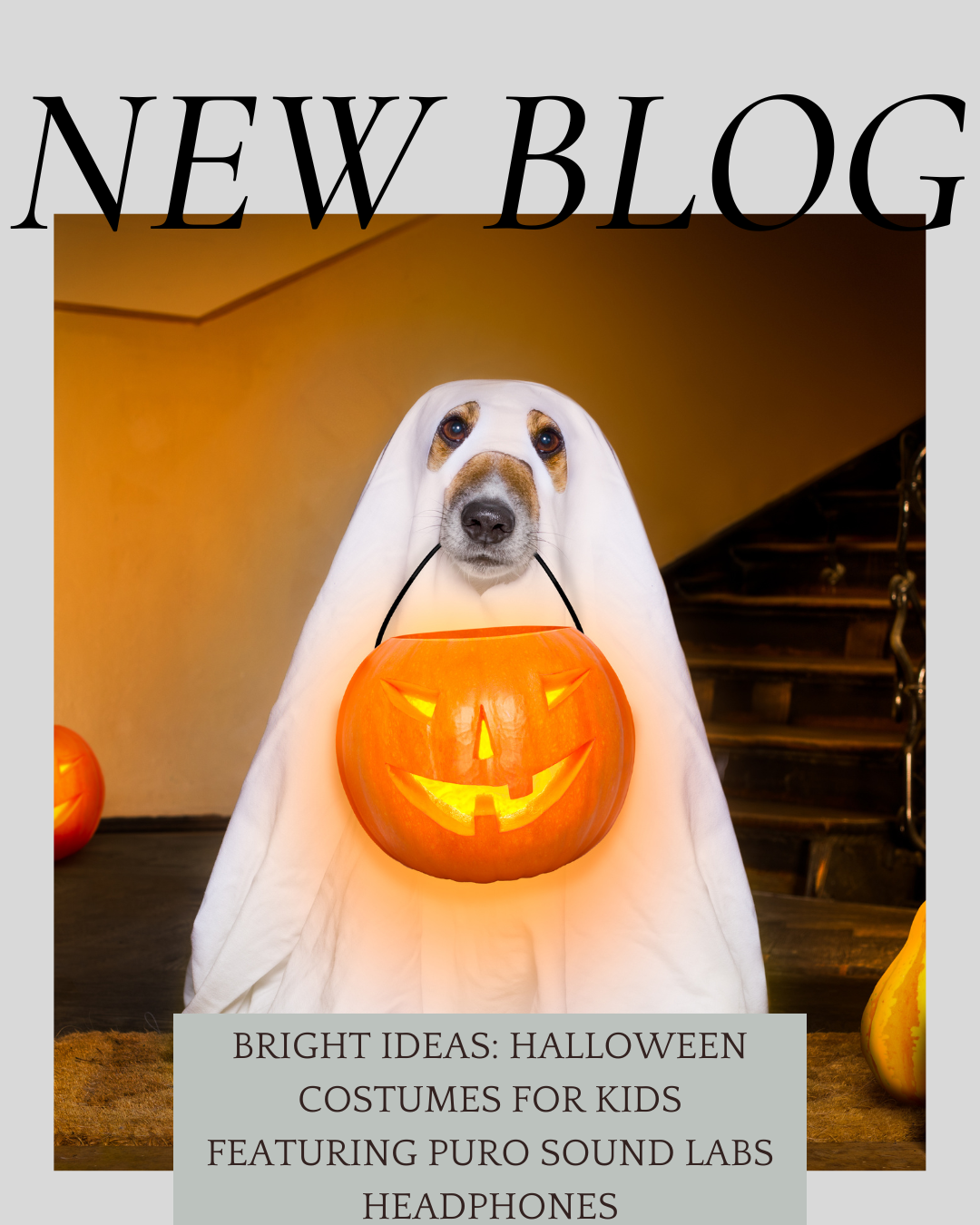 Bright Ideas: Halloween Costumes for Kids Featuring Puro Sound Labs He