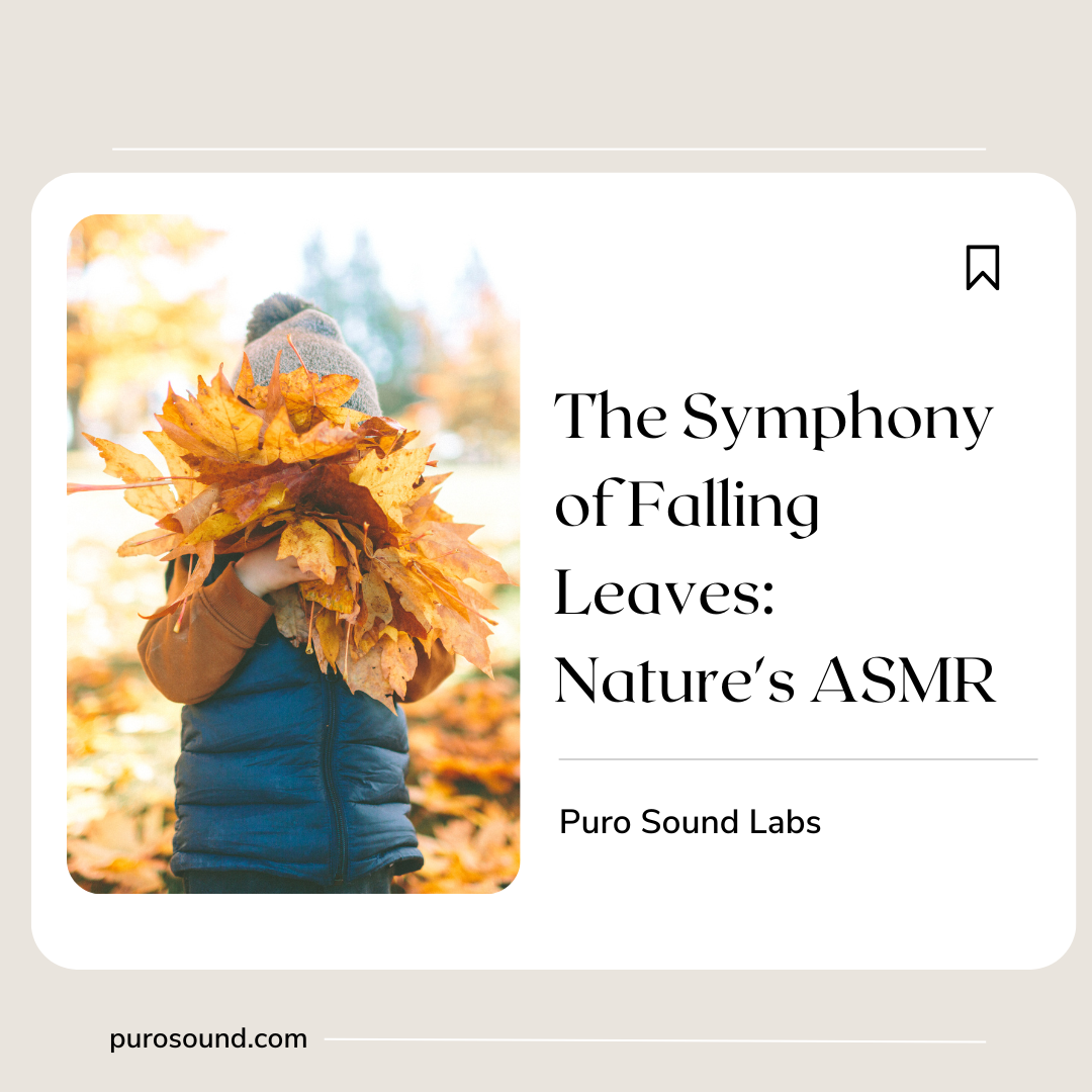 The Symphony of Falling Leaves: Nature's ASMR – Puro Sound Labs